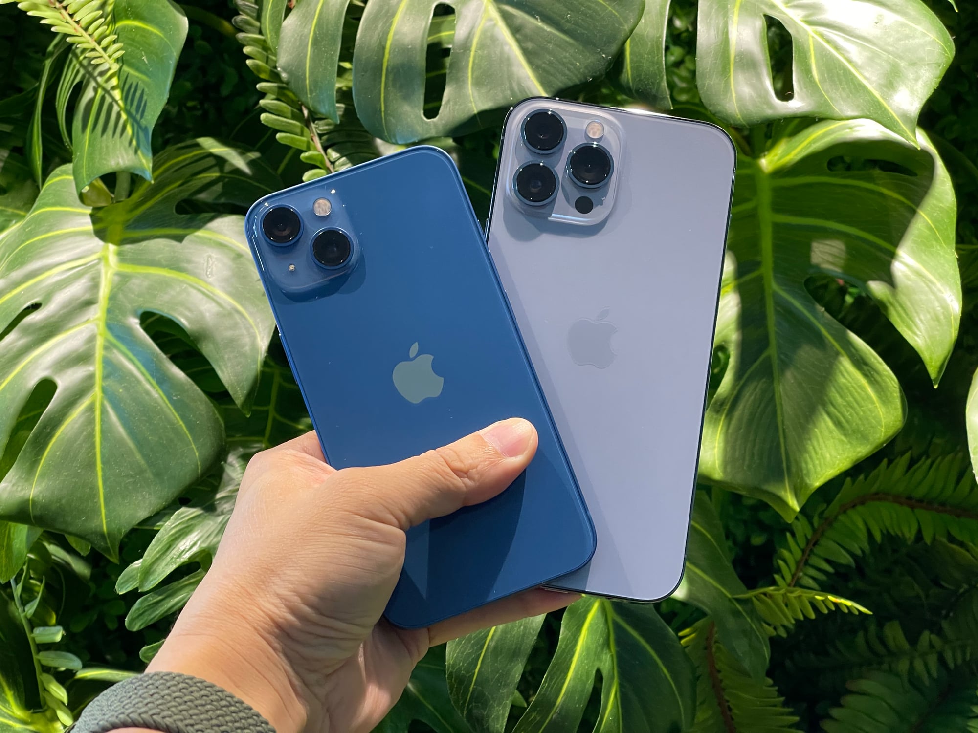 Apple iPhone 13 vs Apple iPhone 13 Pro Max Review: Which iPhone 13 ...