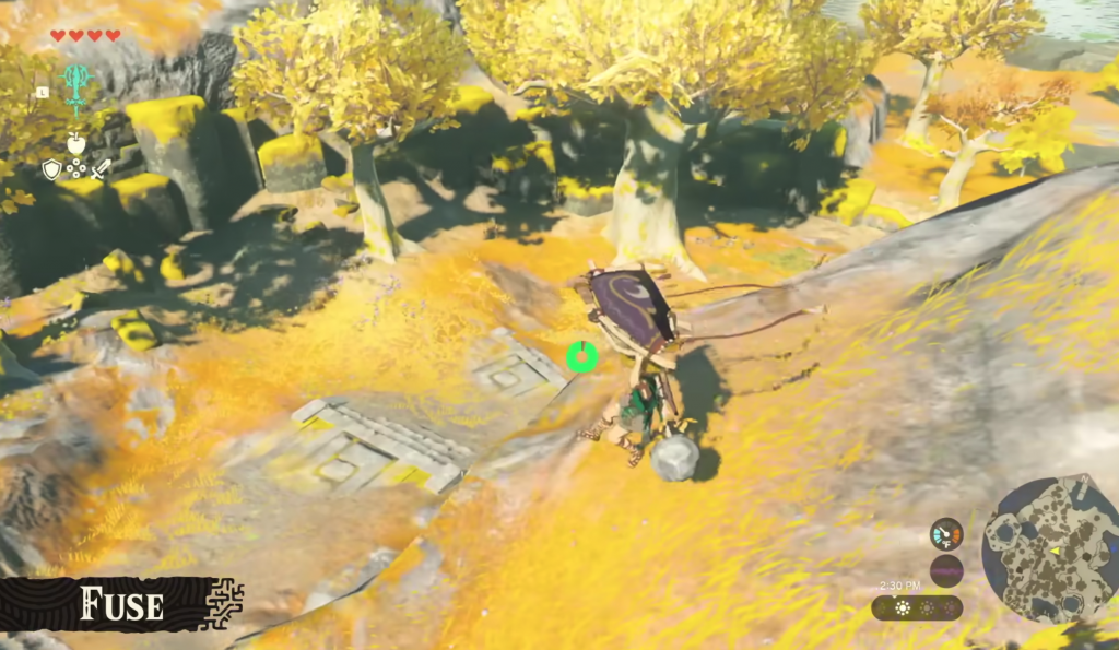Zelda: Tears of the Kingdom - Players Struggling in Tutorial Area